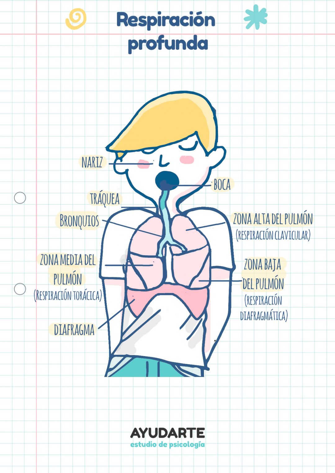 Cómo hacer respiraciones profundas con niños